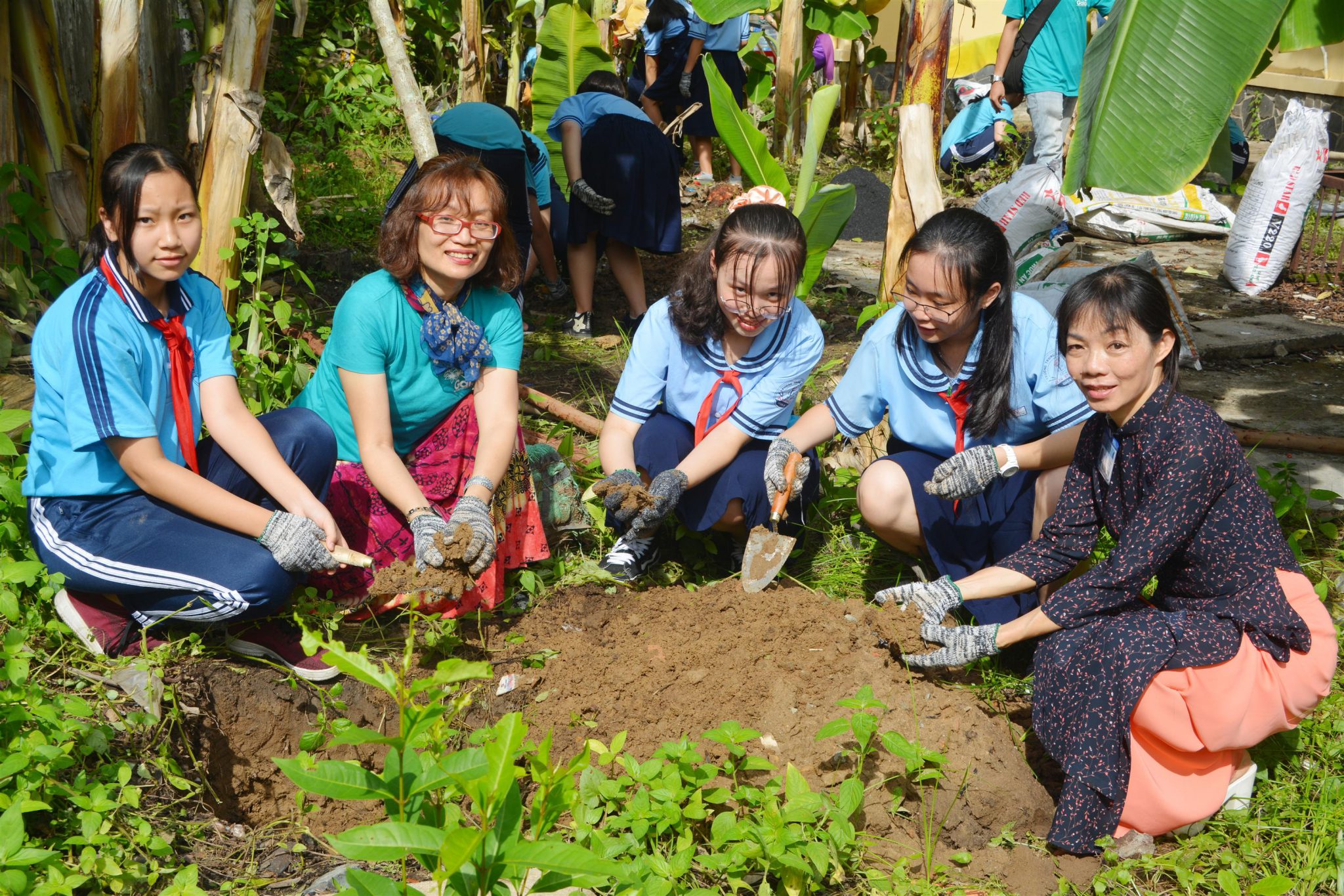 PROJECT COORDINATOR - Green Viet