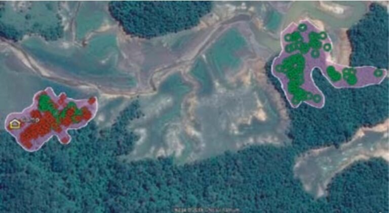 Unexpected incidents during reintroduction of Hatinh langurs ...